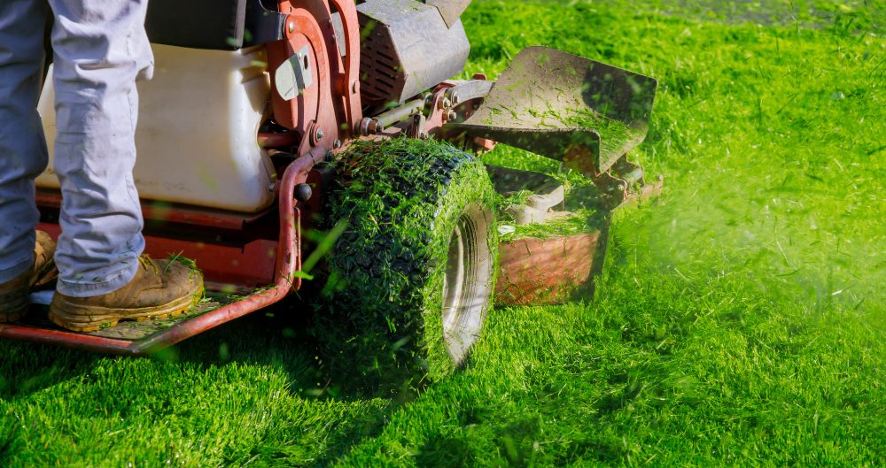 What to Look for In a Landscaping Company | NW Evergreen Landscape LLC